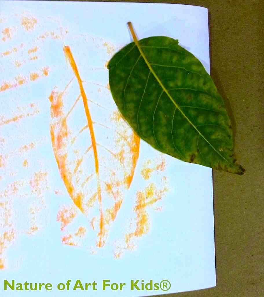 leafrubbingwithcrayon - Nature of Art®